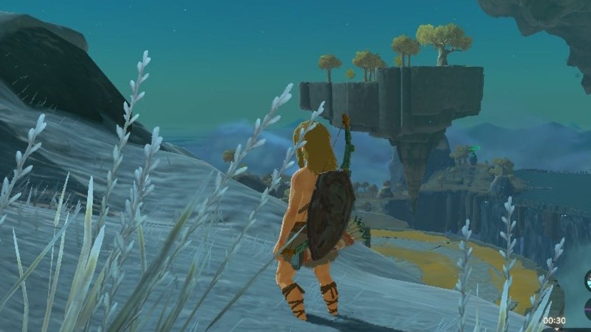 Master Survival Skills: Acquiring Cold Resistance in Zelda: Tears of ...